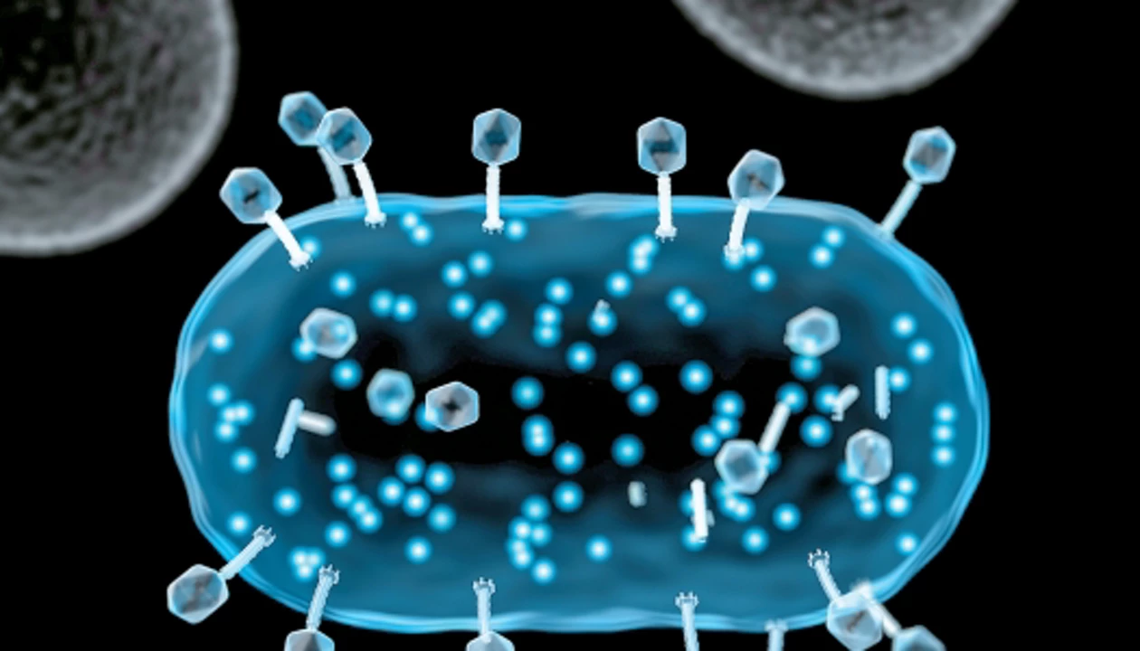Giving Bacteria A Virus