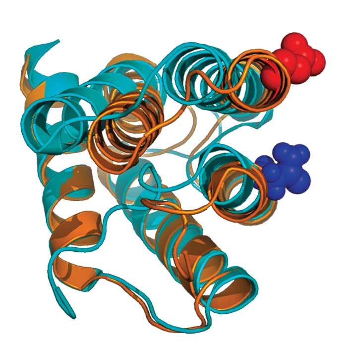 Watching-Rapid-Tiny-Protein-Motions