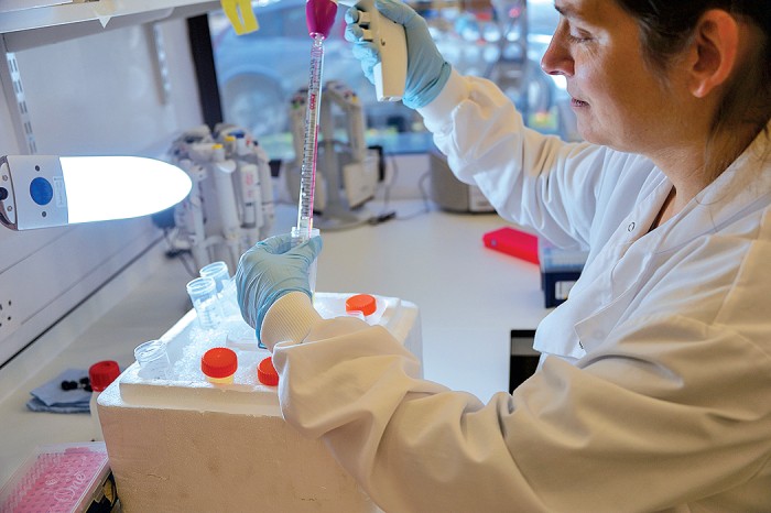 ZoBio-Domainex-Join-Serve-Forma