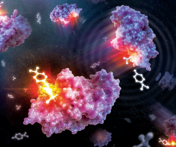 Enzyme-Catalysis-Moving-Experience