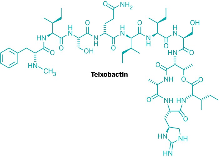 Novel-Bacteria-Fighter-Unearthed
