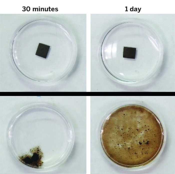 Graphene-Oxide-Thin-Films-Water