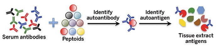Method-Identifies-Elusive-Antigens