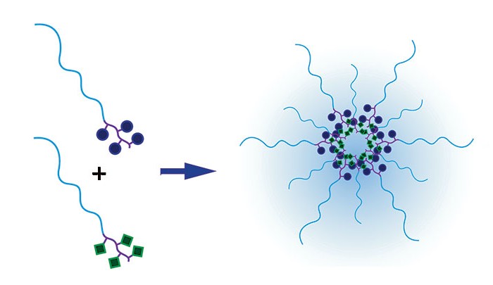 Enzymelike-Polymer-Catalysts-Identified-Combinatorially