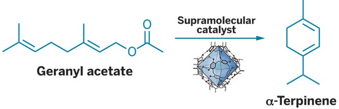 Terpene Structure