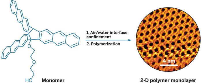 2-D-Polymers-Step-Size