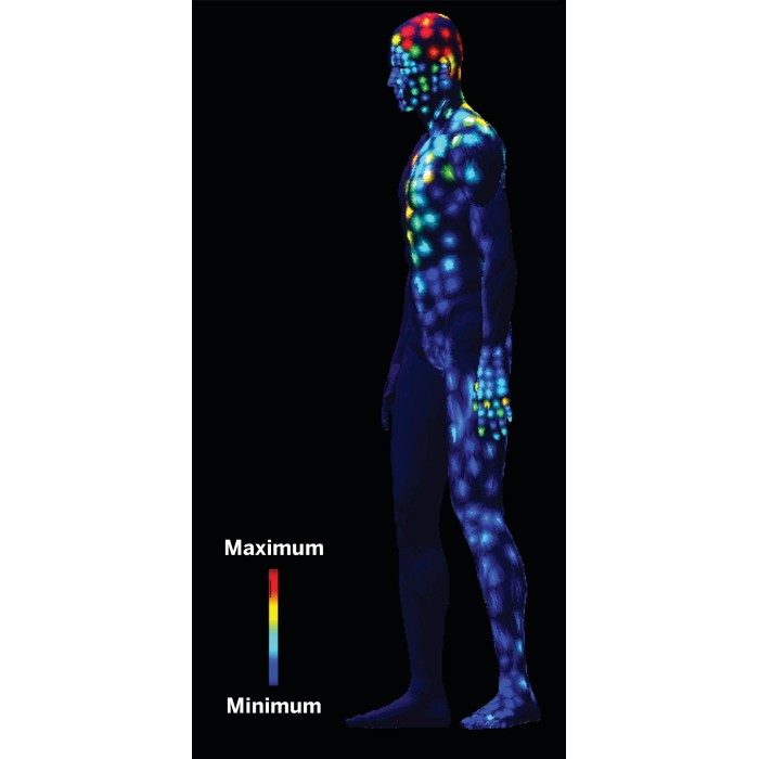 Researchers-Map-Molecular-Makeup-Human