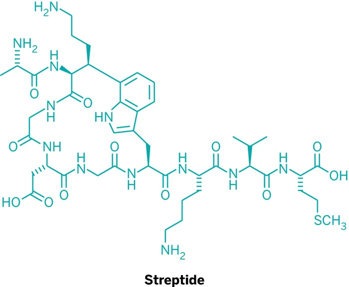 New-Family-Cyclic-Peptides-Identified