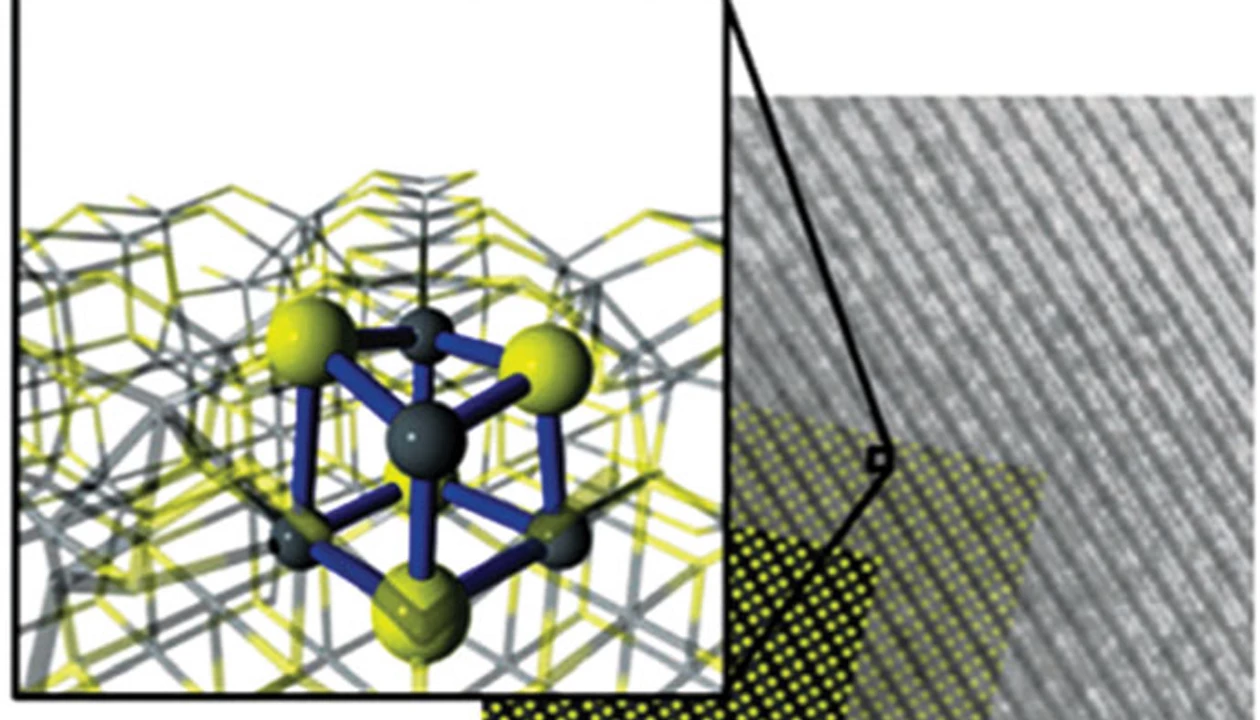 Methylated Adenine Function Determined