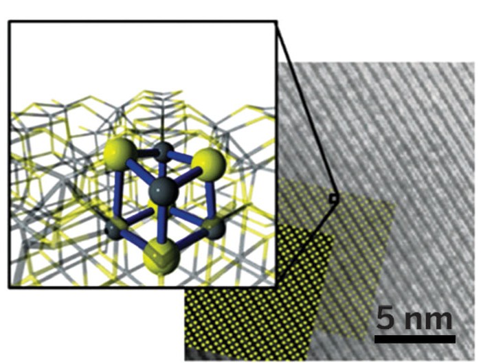 Methylated-Adenine-Function-Determined