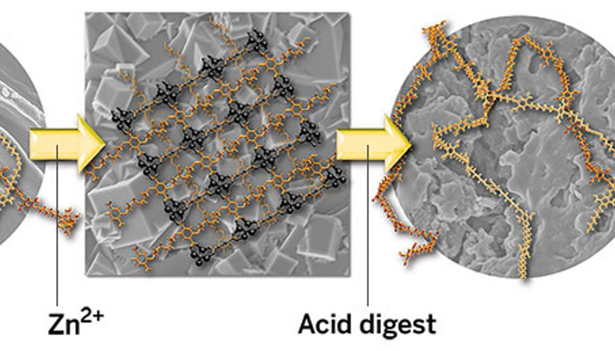 MOFs Made From Flexible Polymers Buck Conventional Wisdom