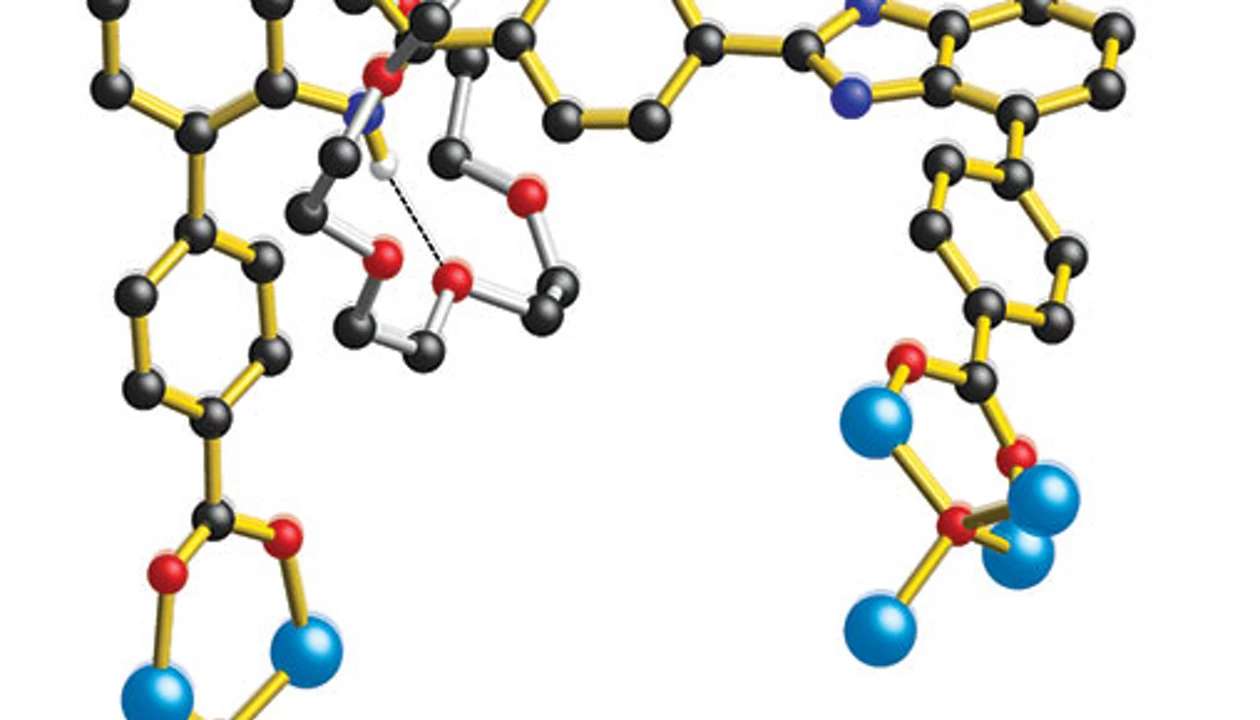 Molecular Shuttles Get Organized
