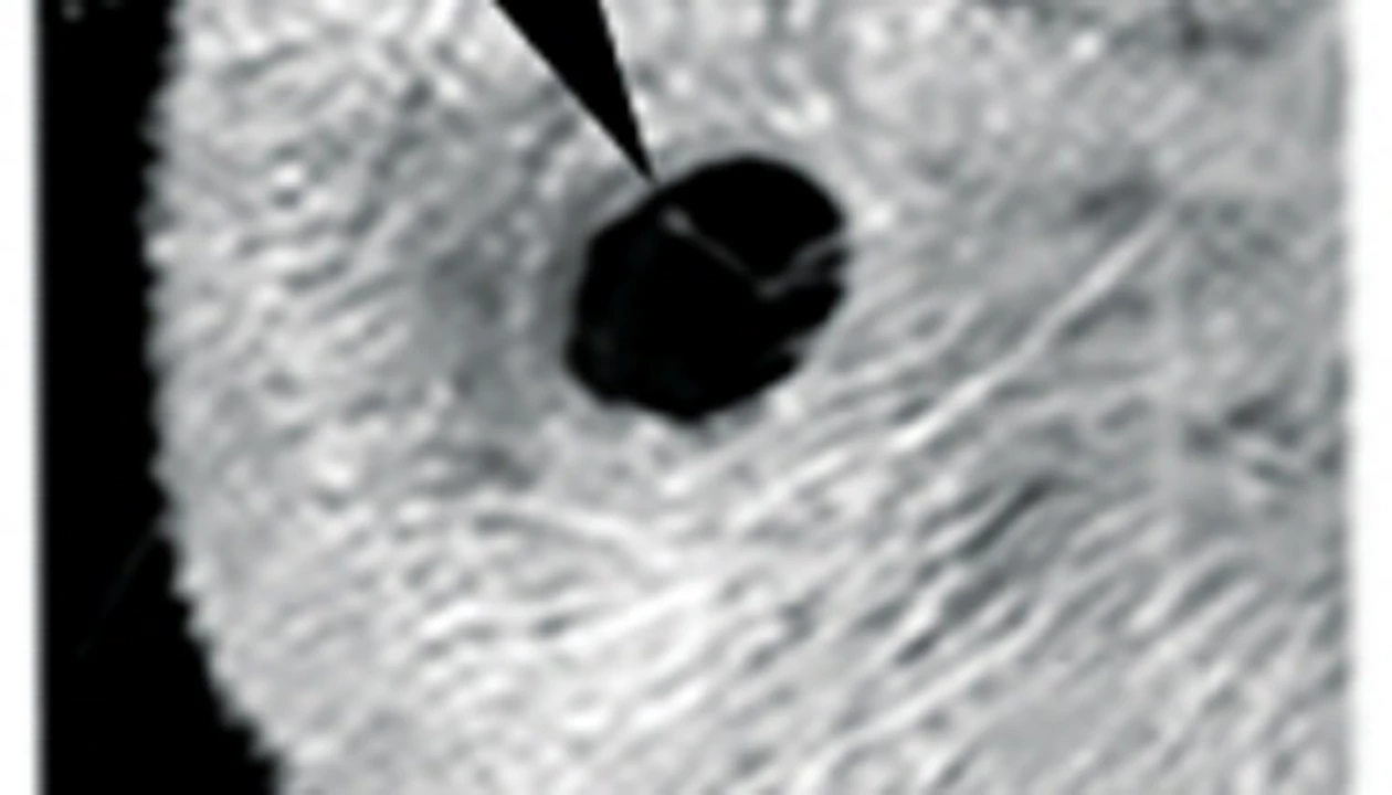 Small Molecule Triggers Tissue Renewal