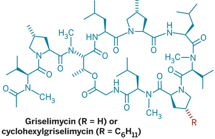 Researchers-Resurrect-Historic-Antibiotic