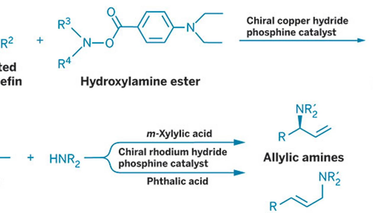 Chemists Demonstrate New Feats Of Hydroamination