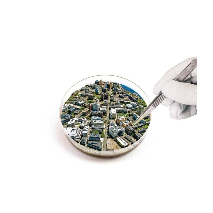 Bostons-Life-Sciences-Experiment