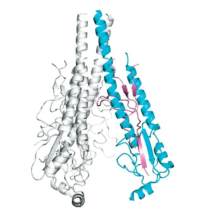 Toward-Universal-Flu-Shot