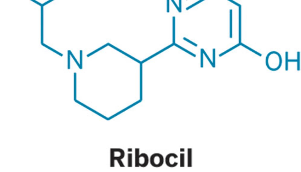 Molecule Screen Finds Ligand To Flip Riboswitch