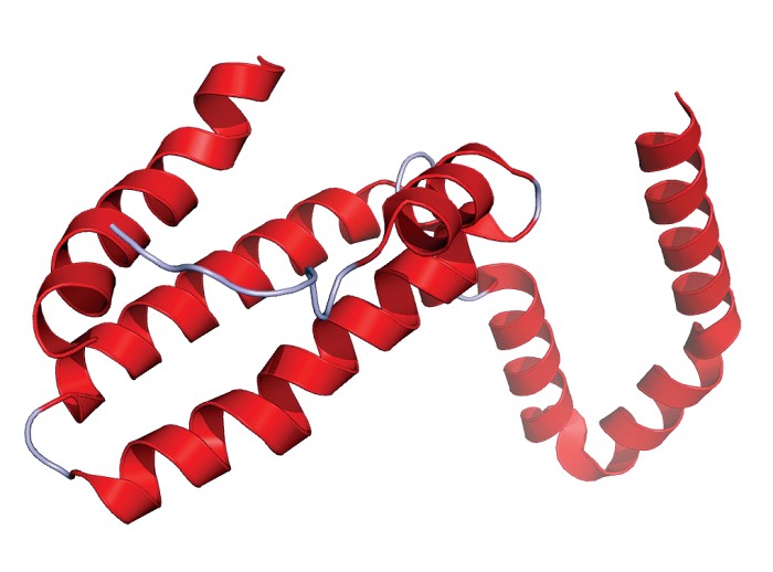 Provepep-Synthesizes-Therapeutic-Protein