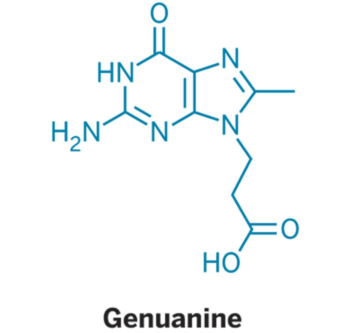 Small-Molecule-Found-Cone-Snail