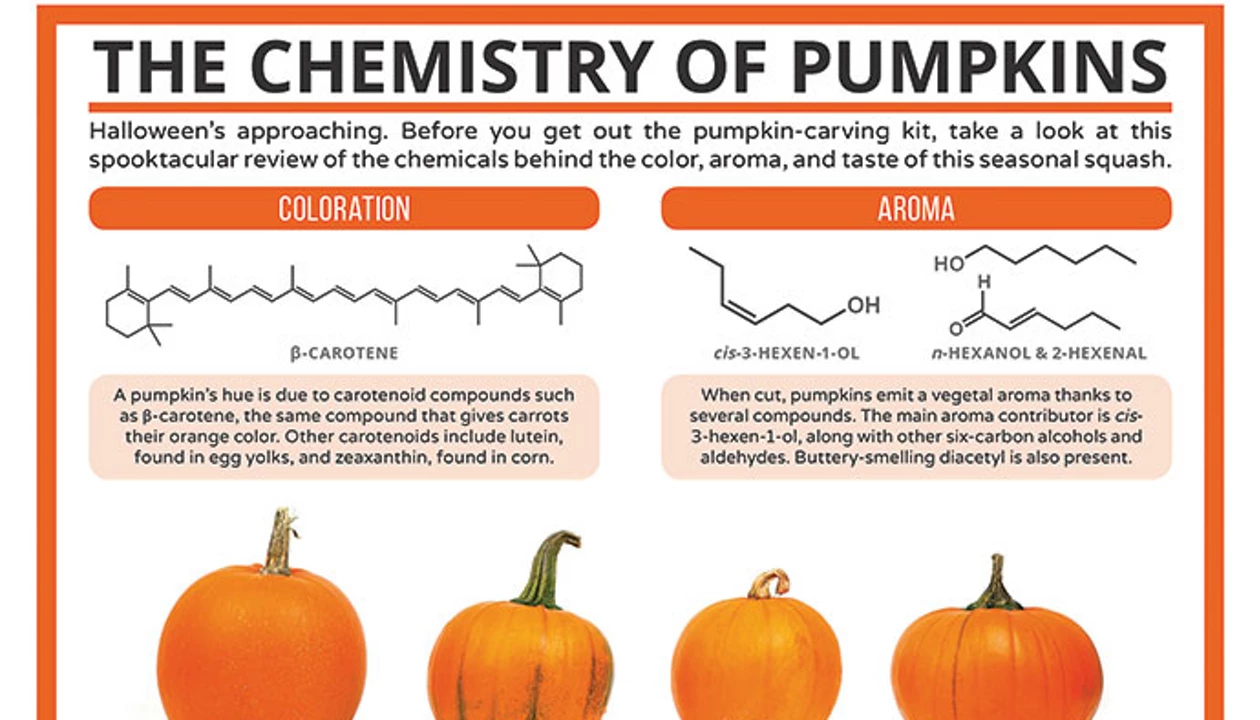 Periodic Graphics: The Chemistry Of Pumpkins