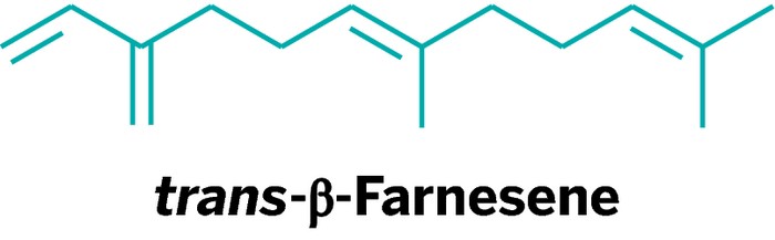 Amyris-Puts-Price-Farnesene
