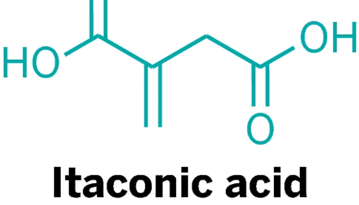 European Biotechs Eye Itaconic Acid