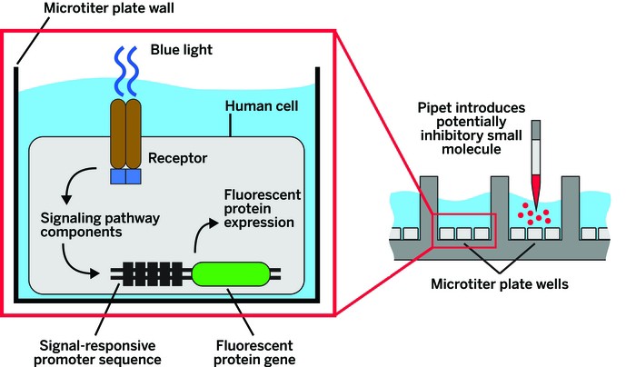 New-Technique-Illuminates-Small-Molecule