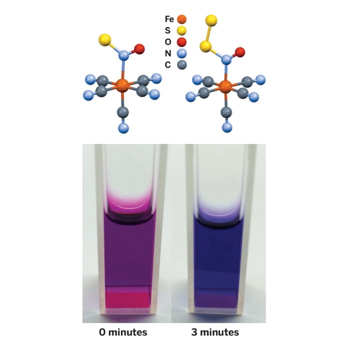 Nitroprusside-Color-Mystery-Resolved