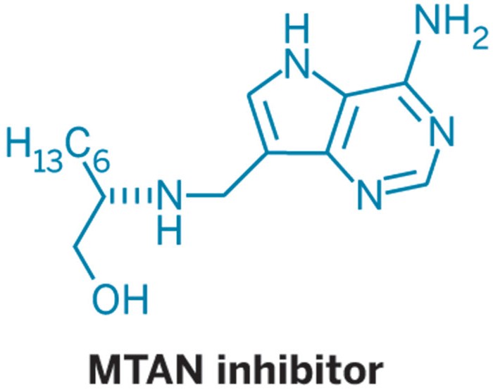 New-Weapons-Fighting-Bacterium-Behind