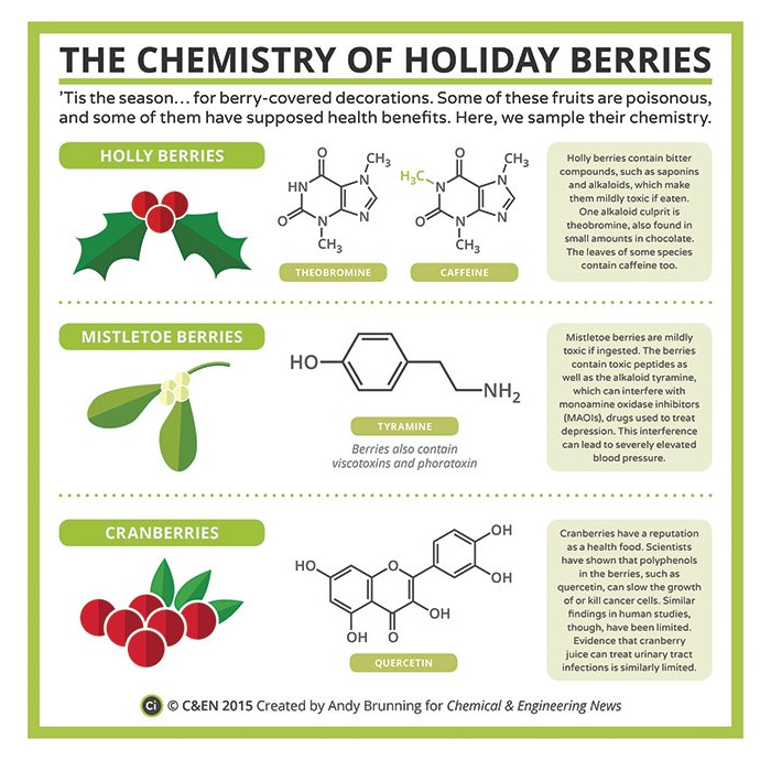 Periodic-Graphics-Chemistry-Holiday-Berries