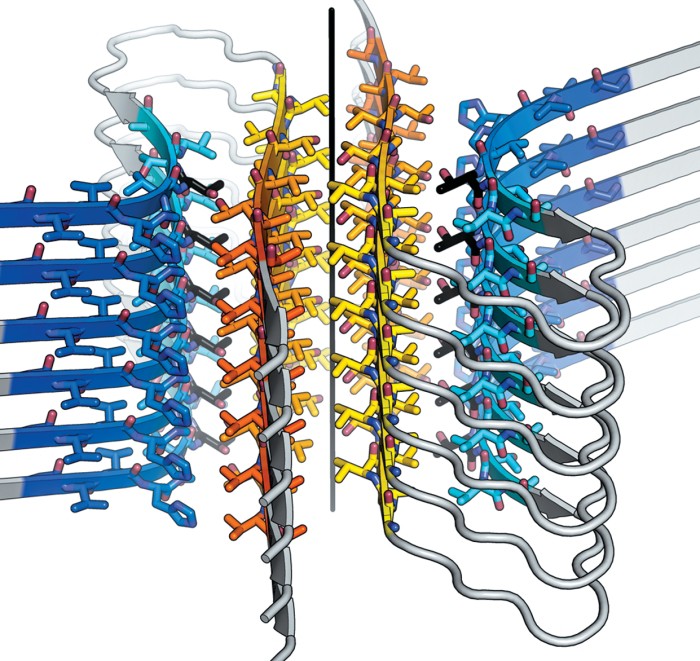 First-Amyloid-Crystal-Structures-Just