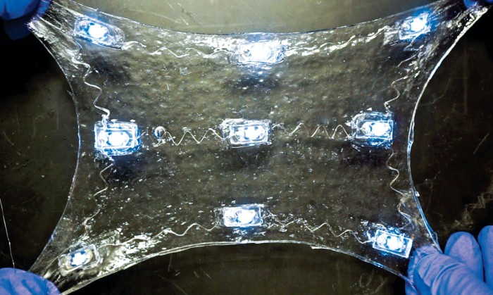 Hydrogel-Electronics