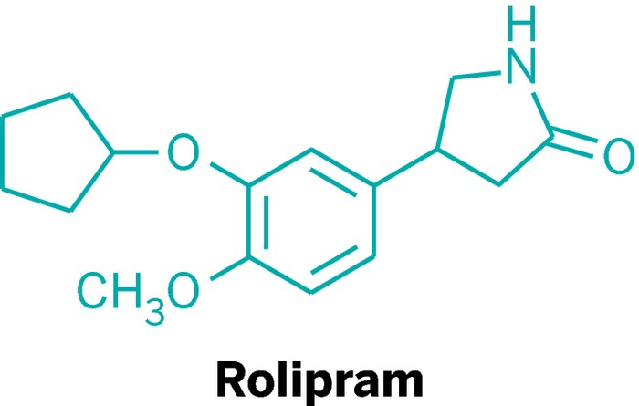 Web-Targeting-Protein-Garbage-Disposal