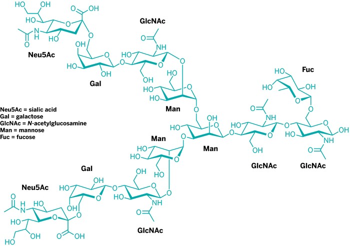 Glycan-Notation-Standardized-Last