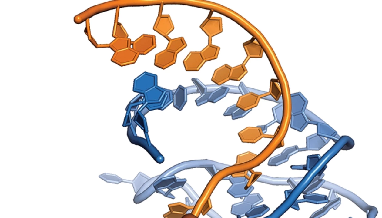 After Two Decades Of Trying, Scientists Report First Crystal Structure ...