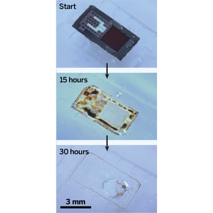 Wireless-Biodegradable-Sensors-Monitor-Brain