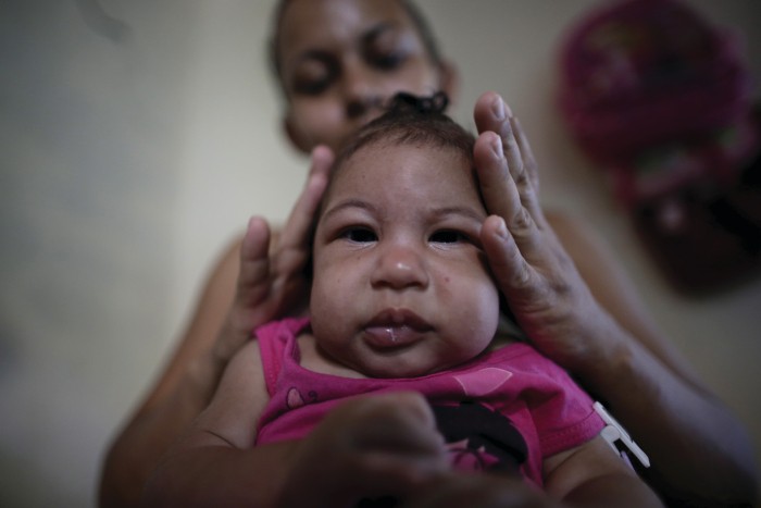 Scientists-Scramble-Develop-Tools-Treatments-Zika-Virus