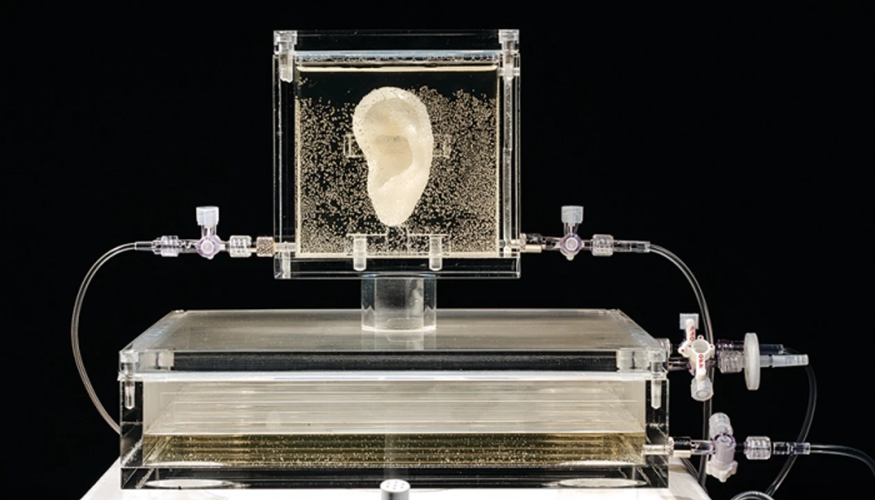 Vincent van Gogh inspires artwork rendered with science