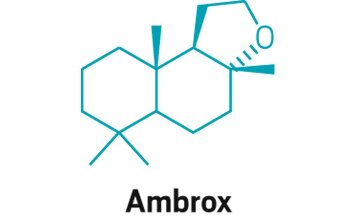 Microbes-help-make-ambergris-scent