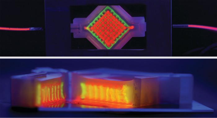 Engineered-tissue-goes-bigger-lives