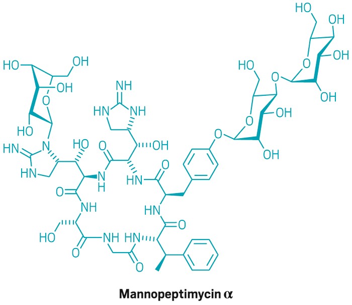 Making-mannopeptimycins