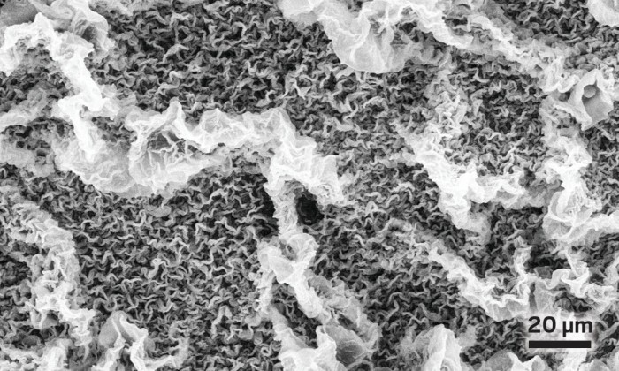 Wrinkling-Teflon-creates-superhydrophobic-surface