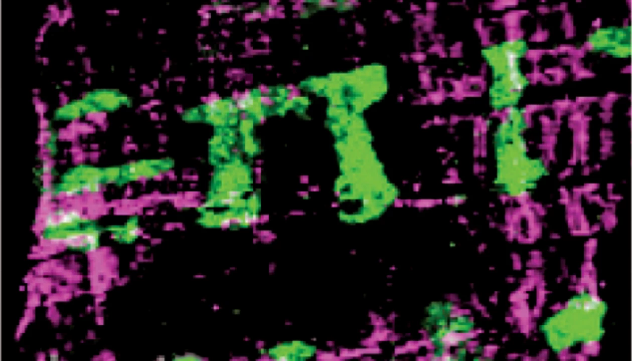 Ancient Roman scribes used metallic ink centuries earlier than expected