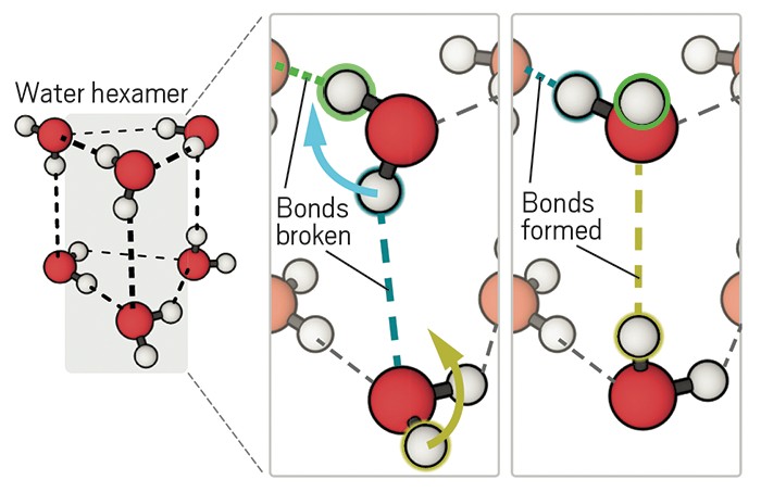 Water Molecule Hydrogen Bond Diagram Hydrogen Bonding Gives Water Its