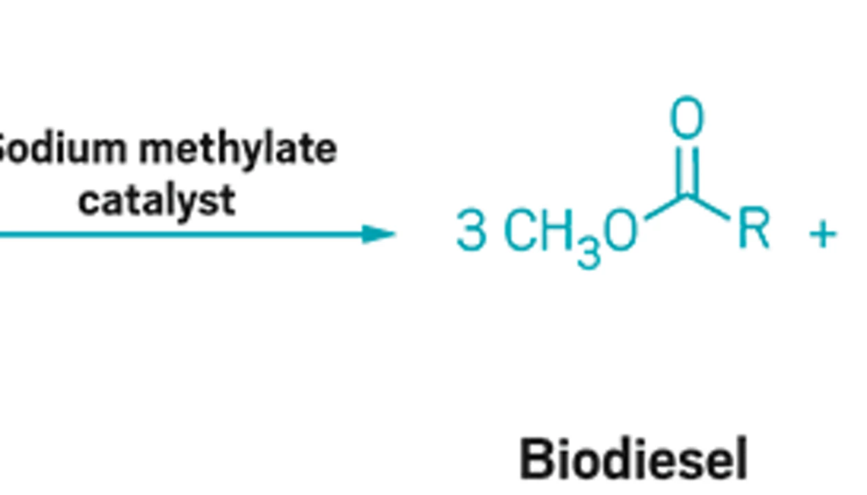 Biodiesel catalyst ranks to expand