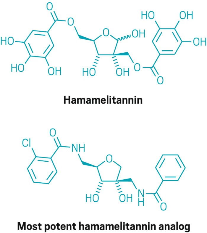Agent-uses-quorum-sensing-help