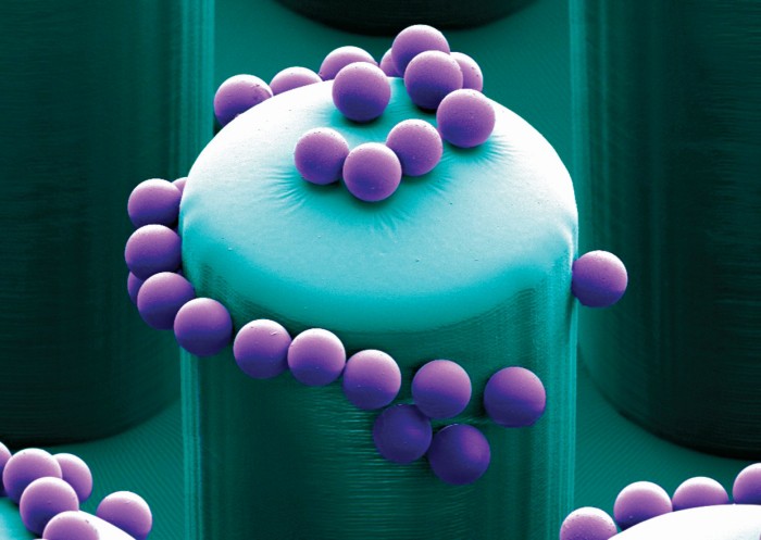 Micropillars-gentle-dust-busters