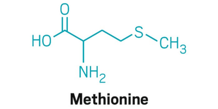 Sumitomo-boosts-methionine-Japan