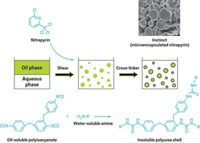 Aspirin-Polymorph-Found